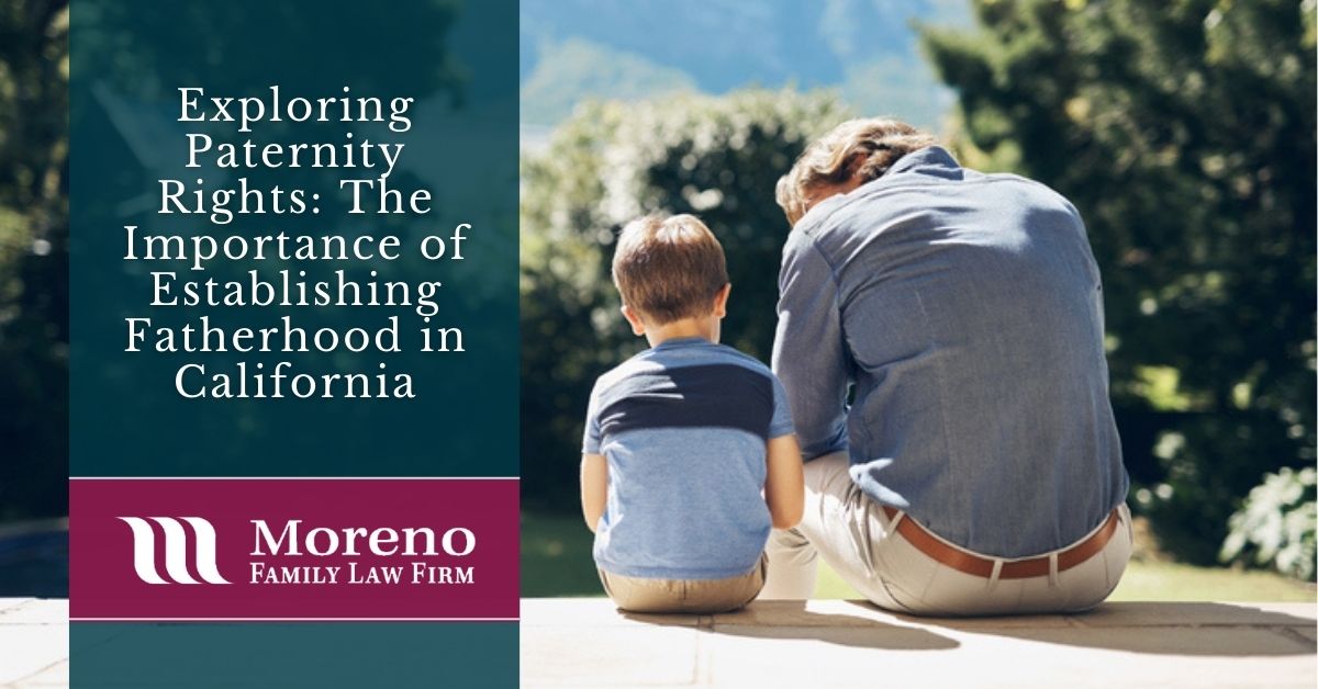 Exploring Paternity Rights: The Importance of Establishing Fatherhood ...